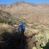Sycamore Creek Trail, Arizona - 20 Reviews, Map | AllTrails