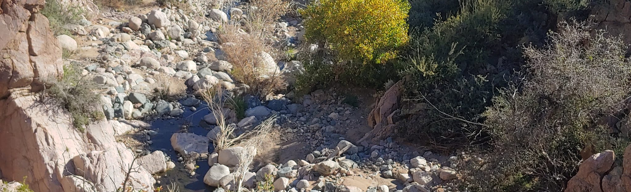 Sycamore Creek Trail, Arizona - 17 Reviews, Map | AllTrails