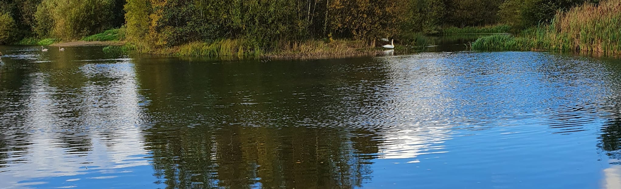 Avon Lagoon Circular, West Lothian, Scotland - 9 Reviews, Map | AllTrails