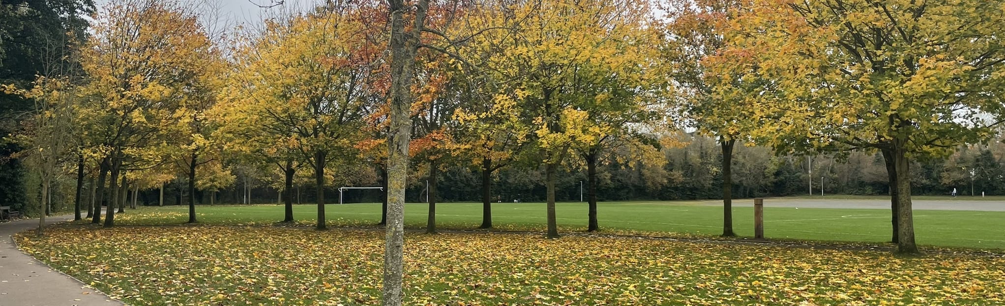 Comber Park Circular, Ards and North Down, Northern Ireland - 7 Reviews ...