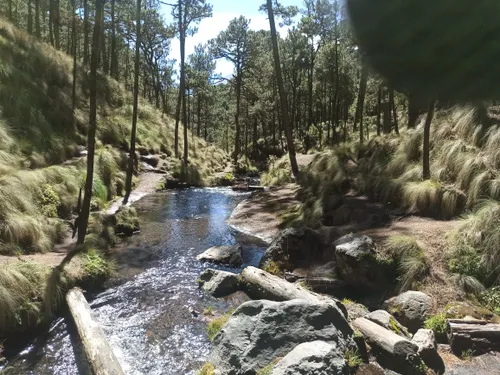 Los mejores senderos con río en Amecameca | AllTrails