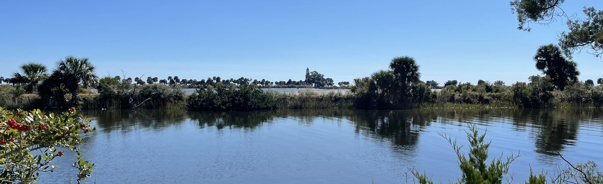 Cedar Point Trail, Florida - 22 Reviews, Map | AllTrails