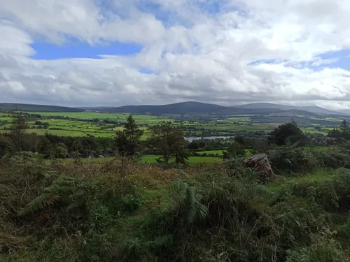 Best Hikes and Trails in Saggart Woods | AllTrails