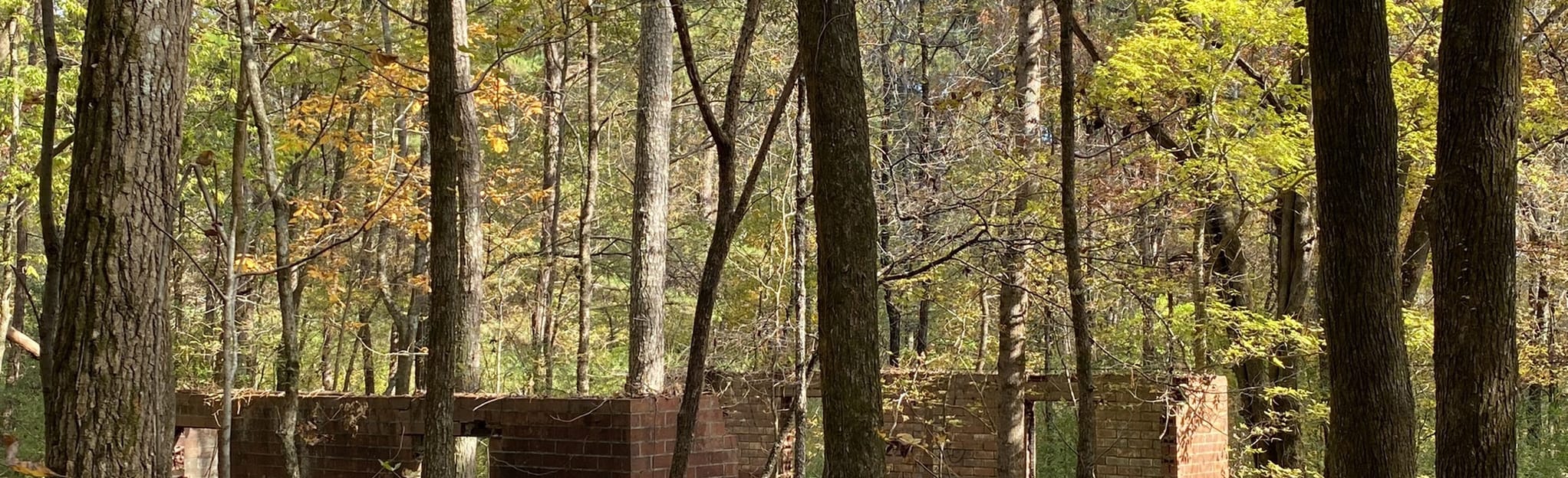 Ruffner Wetlands | Map, Guide - Alabama | AllTrails