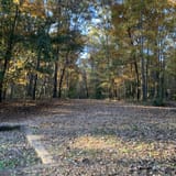 Lake Herrick and Herrick Creek Loop, Georgia - 382 Reviews, Map | AllTrails