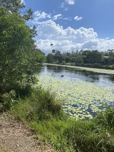 Best Walking Trails in Buderim | AllTrails