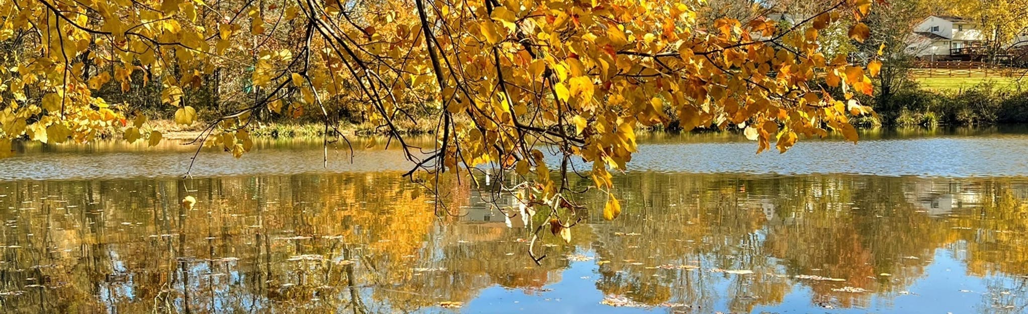 Lake Royal Trail, Virginia - 905 Reviews, Map | AllTrails