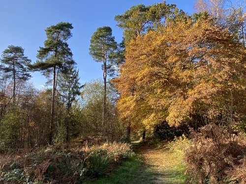 10 Best Easy Trails in High Weald National Landscape (AONB) | AllTrails