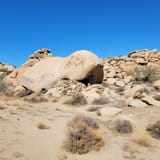 Smugglers Cave Trail, California - 156 Reviews, Map | AllTrails