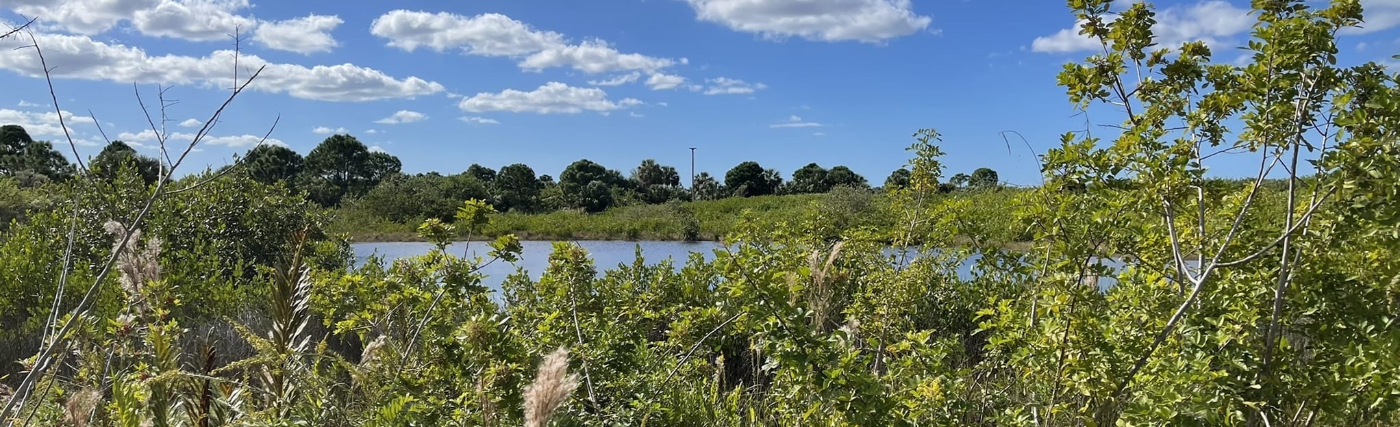 Wolf Branch Nature Preserve Trail, Florida - 42 Reviews, Map | AllTrails