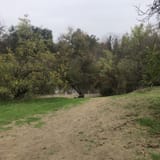 Tom Macmichael Senior Trail, California - 204 Reviews, Map | AllTrails