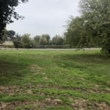 Tom Macmichael Senior Trail, California - 204 Reviews, Map | AllTrails