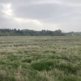 Tom Macmichael Senior Trail, California - 204 Reviews, Map | AllTrails