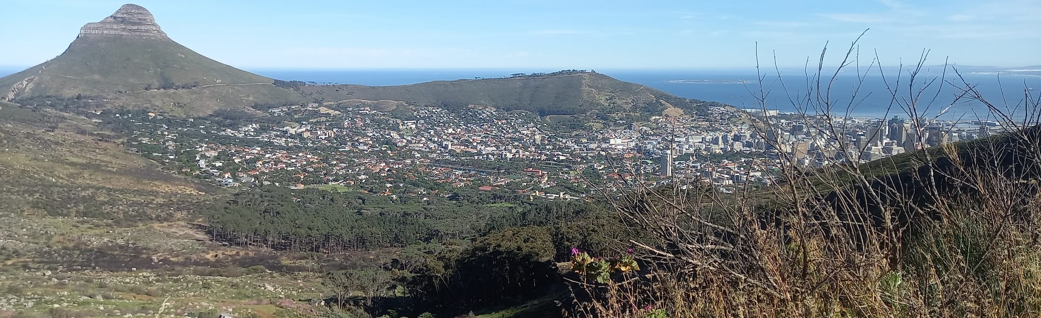 Table Mountain Road: 199 foto - Capo Occidentale, Sudafrica | AllTrails