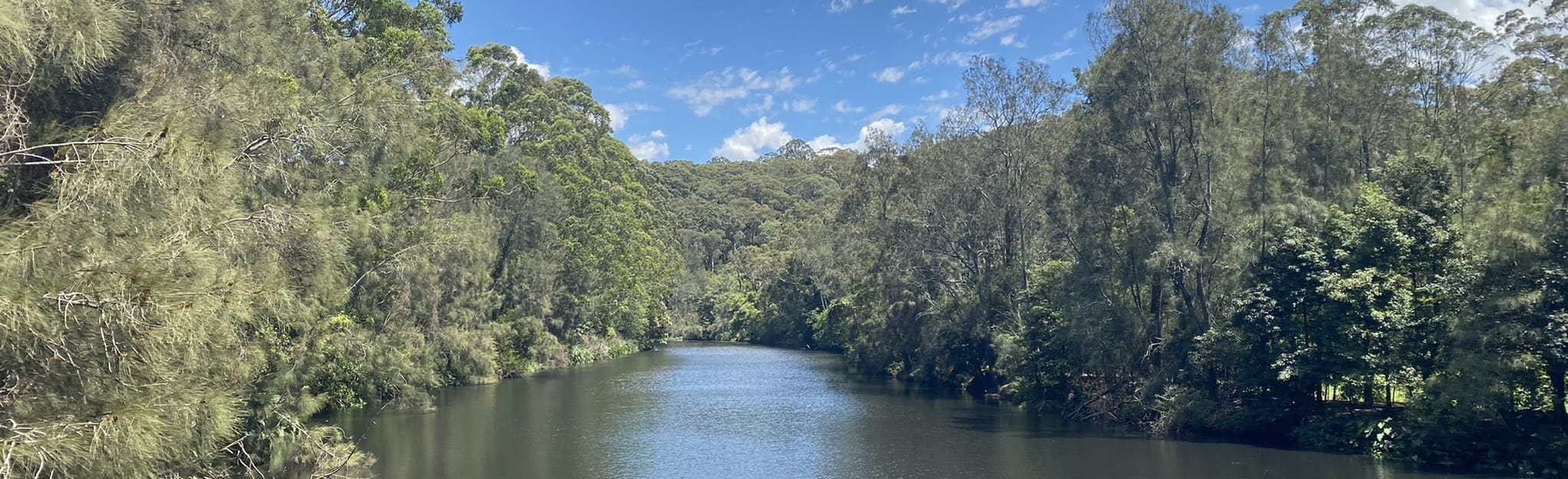 Riverside Drive Cycle Route: 90 Reviews, Map - New South Wales ...