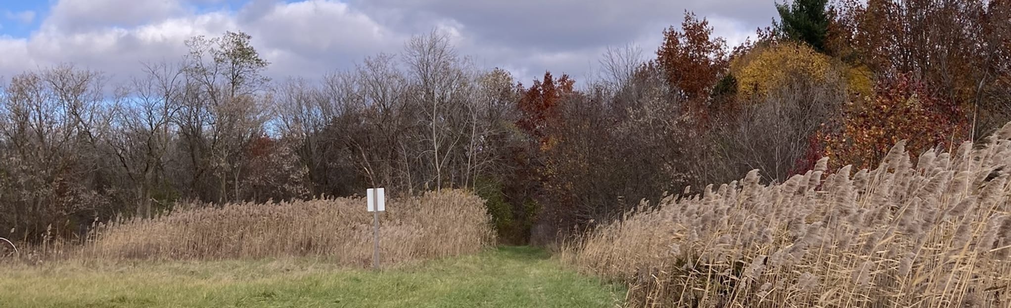 Nicholson Nature Center Trail: 60 Reviews, Map - Michigan | AllTrails