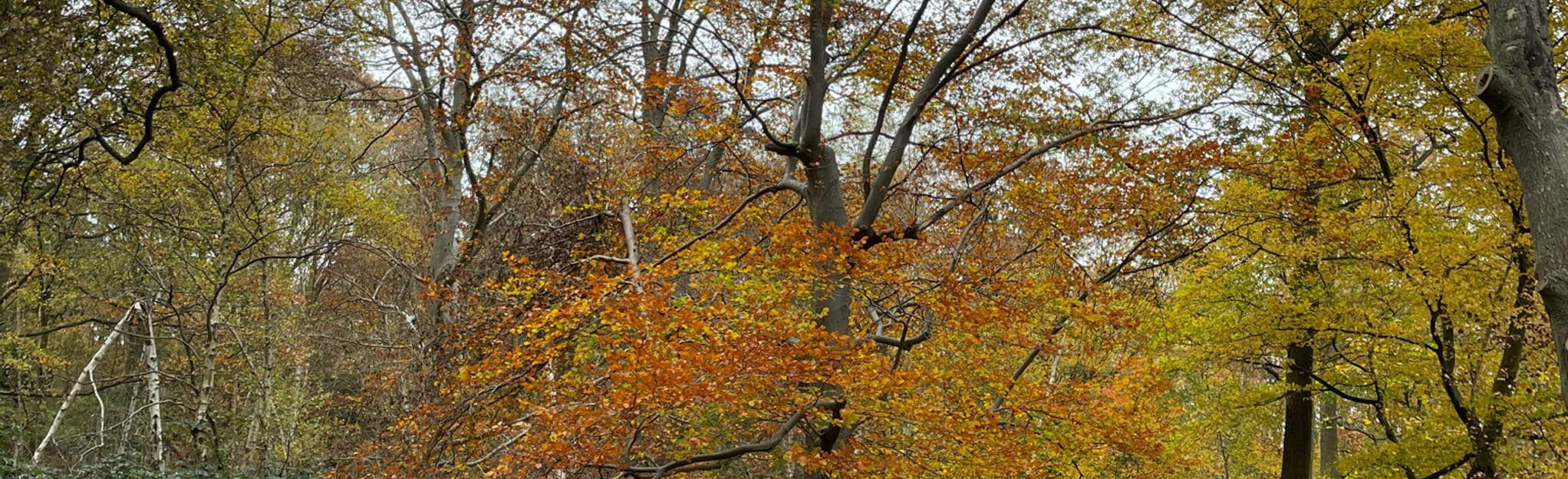 London Loop: Section 17 - Cockfosters to Enfield Lock - London, England ...