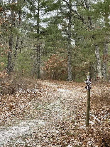 Best Forest Trails in Danbury | AllTrails