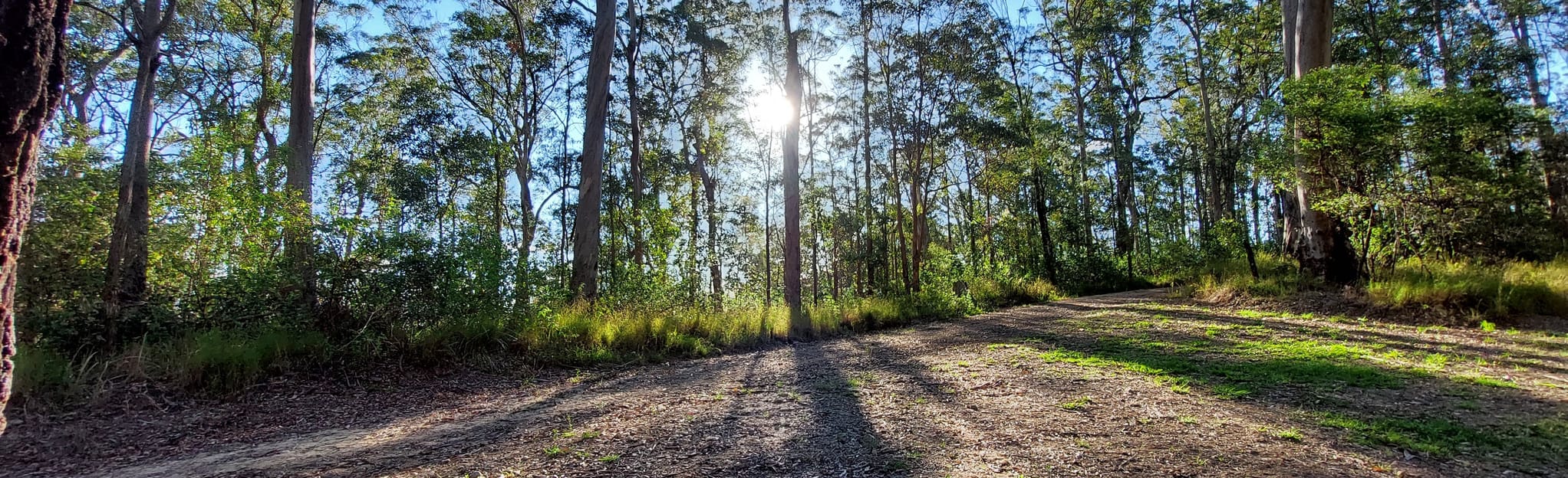 Scrub Road Bush Camp - Queensland, Australia | AllTrails