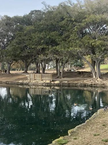 Best Hikes and Trails in TeWinkle Park | AllTrails