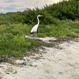 Bush Key Trail, Florida - 53 Reviews, Map | AllTrails