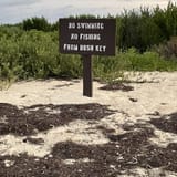 Bush Key Trail, Florida - 53 Reviews, Map | AllTrails