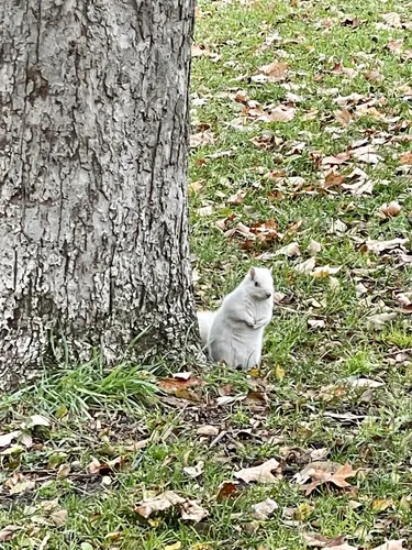 Best Hikes and Trails in Trinity Bellwoods Park | AllTrails