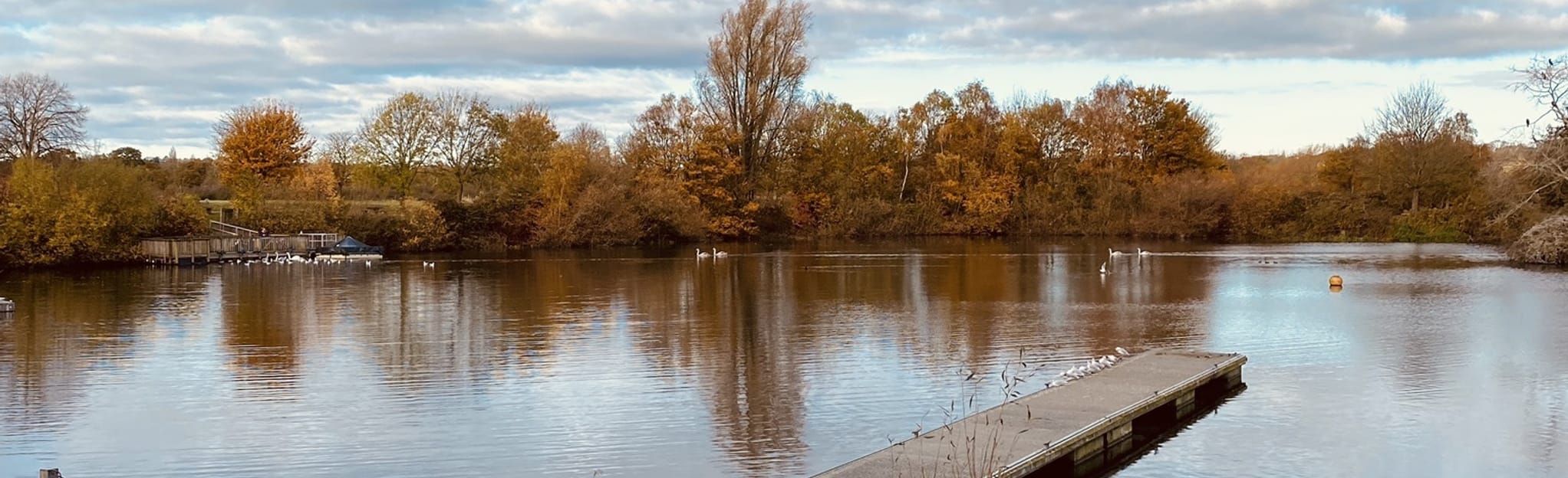 Nene Park and Peterborough Circular: 152 foto's - Cambridgeshire ...