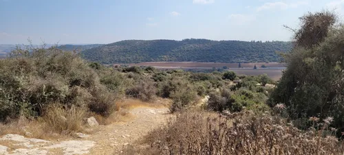10 Best Hikes and Trails in Valley of Elah National Park | AllTrails