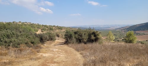 Best Hikes and Trails in Valley of Elah National Park | AllTrails