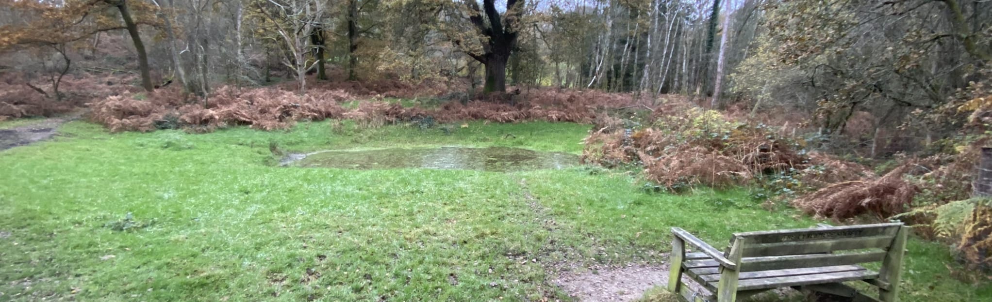 Linchmere Common - Stanley Common Circular, Surrey, England - 6 Reviews ...