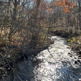Trumbull Loop, Connecticut - 333 Reviews, Map | AllTrails