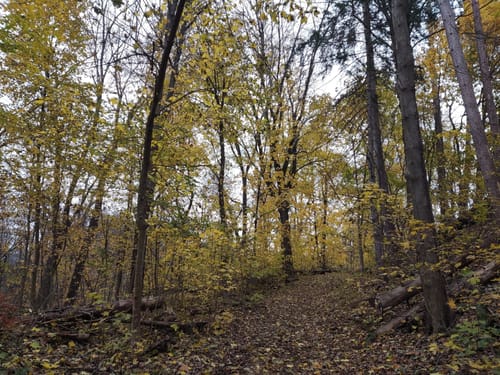 Best Hikes and Trails in Manhan River Conservation Area | AllTrails