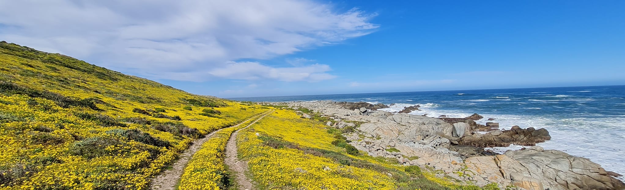 Postberg Flower Hike: Single Day: 11 Reviews, Map - Western Cape, South ...