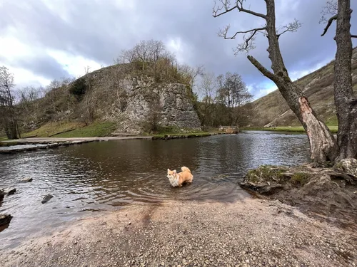 Best Hikes and Trails in Dovedale National Nature Reserve | AllTrails