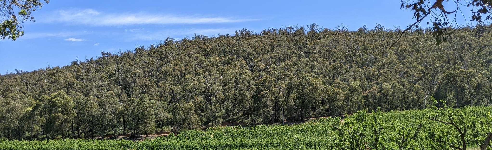 Pickering Brook via Kattamorda Heritage Trail Loop: 65 Reviews, Map ...