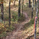 Forks Area Trail System (FATS), South Carolina - 244 Reviews, Map ...