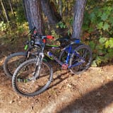 Forks Area Trail System (FATS), South Carolina - 244 Reviews, Map ...