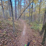 Forks Area Trail System (FATS), South Carolina - 244 Reviews, Map ...