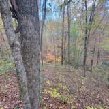 Forks Area Trail System (FATS), South Carolina - 244 Reviews, Map ...