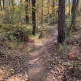 Forks Area Trail System (FATS), South Carolina - 246 Reviews, Map ...