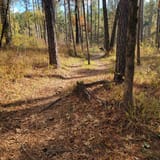 Forks Area Trail System (FATS), South Carolina - 246 Reviews, Map ...