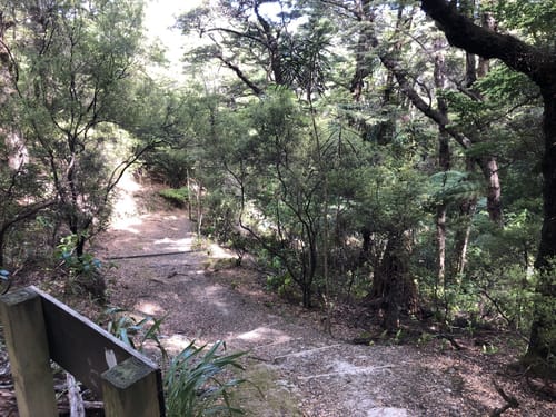 2023 Best 10 Trails and Hikes in Upper Hutt | AllTrails