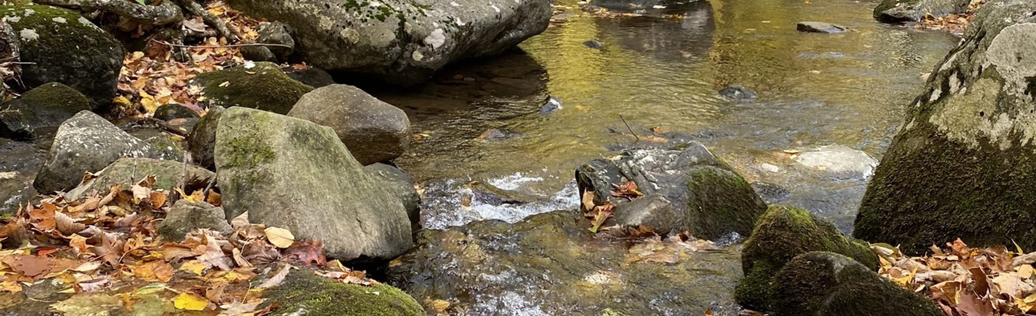 Corbin Cabin via Nicholson Hollow and Appalachian Trail Loop - Virginia ...