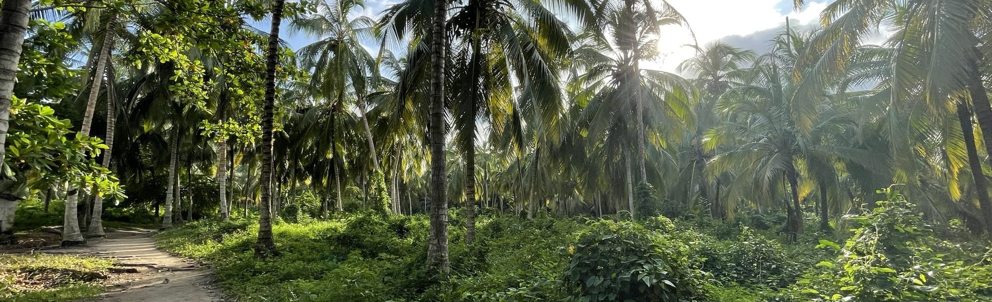 Calabazo - Pueblito - Arrecifes: 42 Reviews, Map - Magdalena, Colombia ...