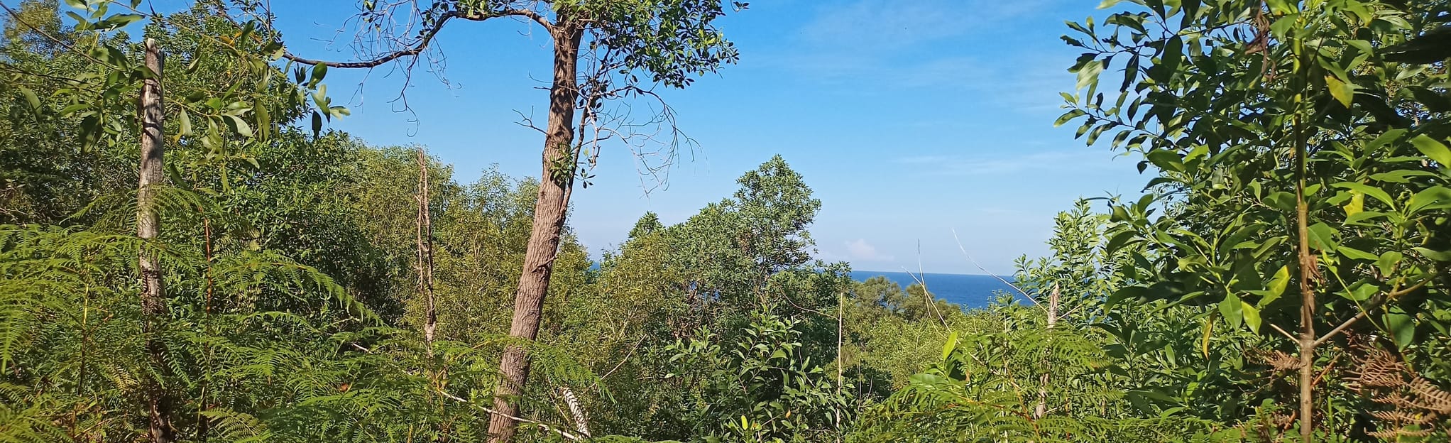 Merinding Extended Loop, Labuan, Malaysia - 16 Reviews, Map | AllTrails