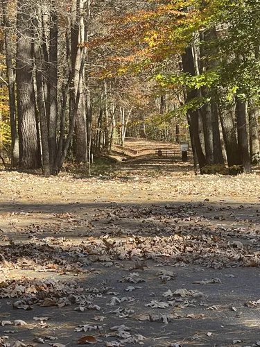 Best Hikes and Trails in Tuttle Educational State Forest | AllTrails