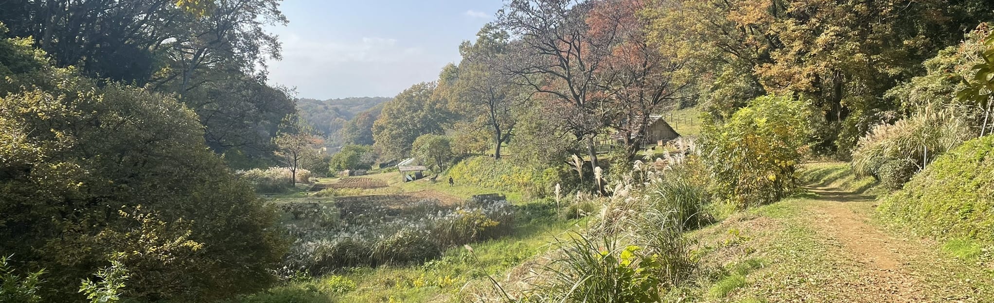 Tama Kyuryu Hills Route, Kanagawa, Japan - 20 Reviews, Map | AllTrails
