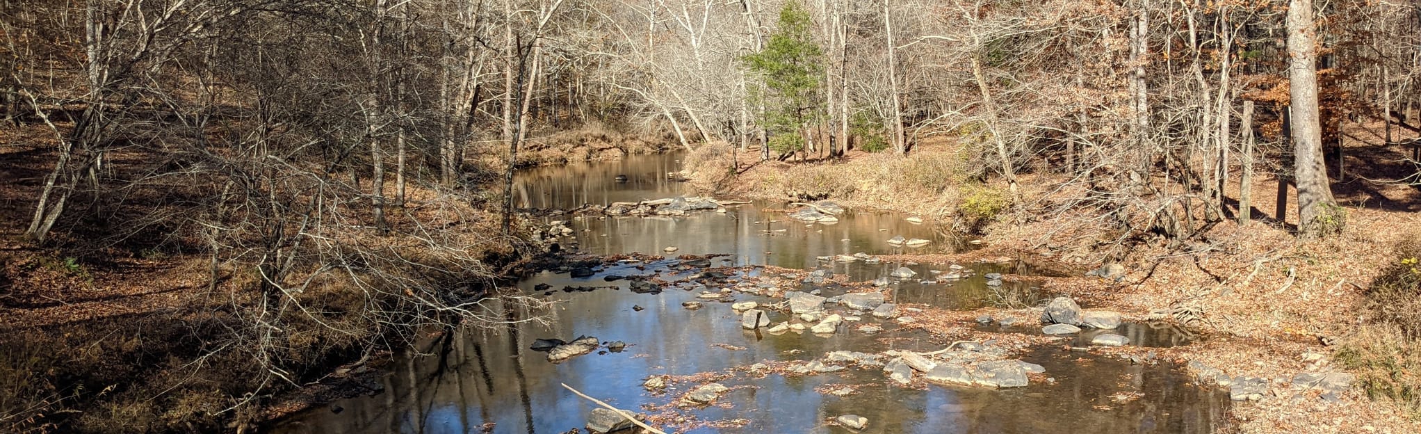 Eno Trace Trail: 242 Reviews, Map - North Carolina | AllTrails