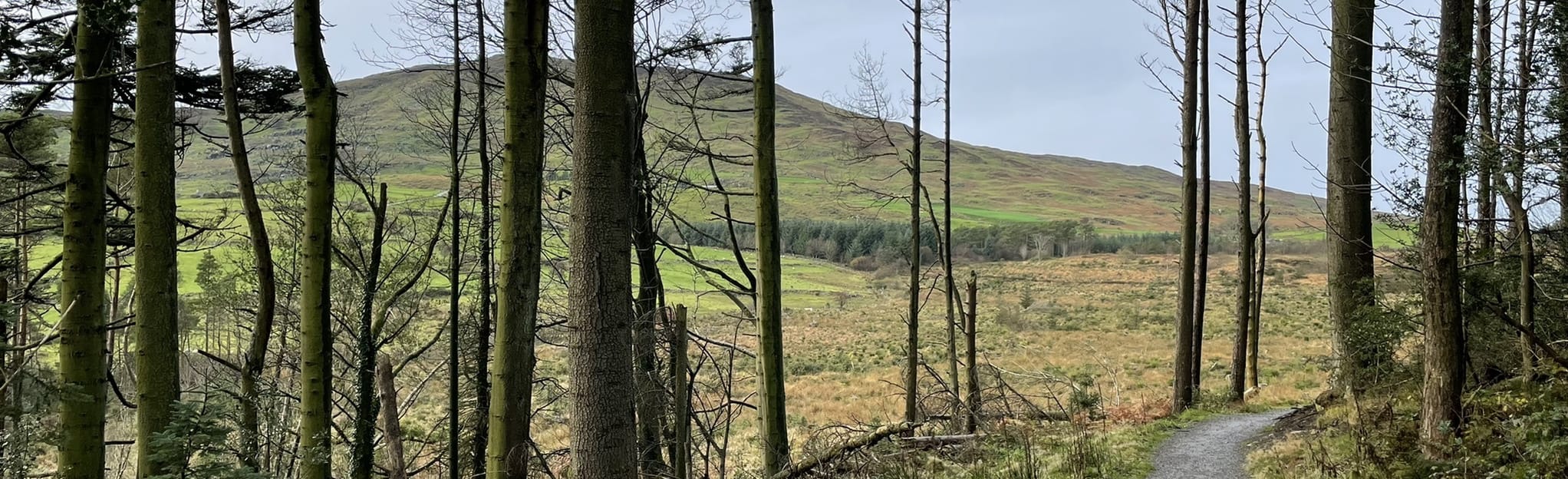 Drumkeeragh Forest Park Inner Circular, Newry, Mourne and Down ...